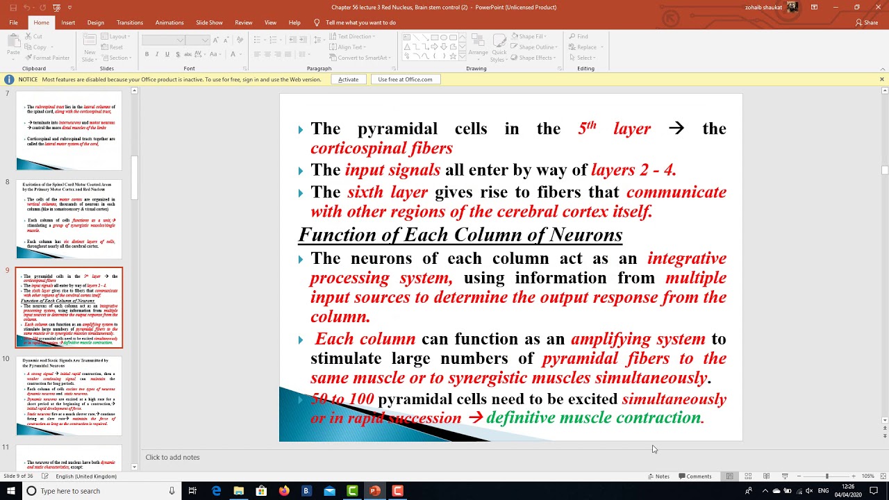 Red Nucleus (Part 1) - YouTube