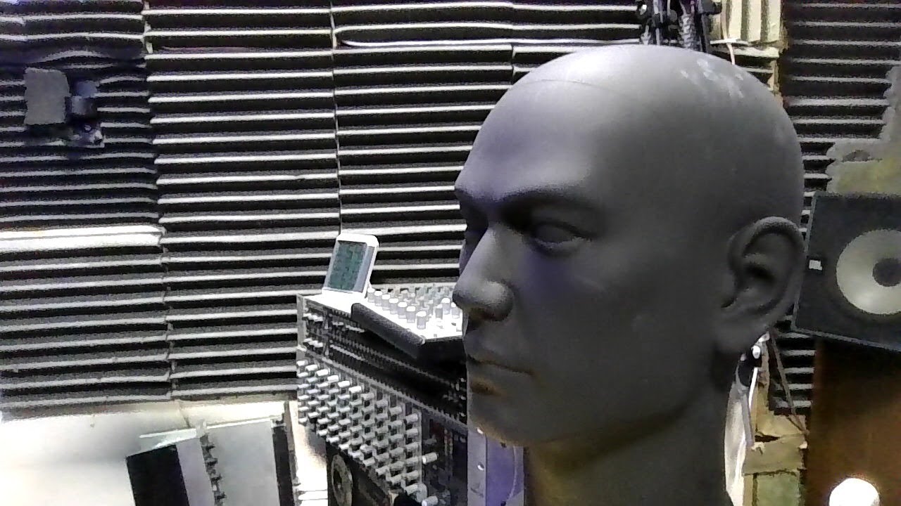 diy binaural recording dummy head - YouTube