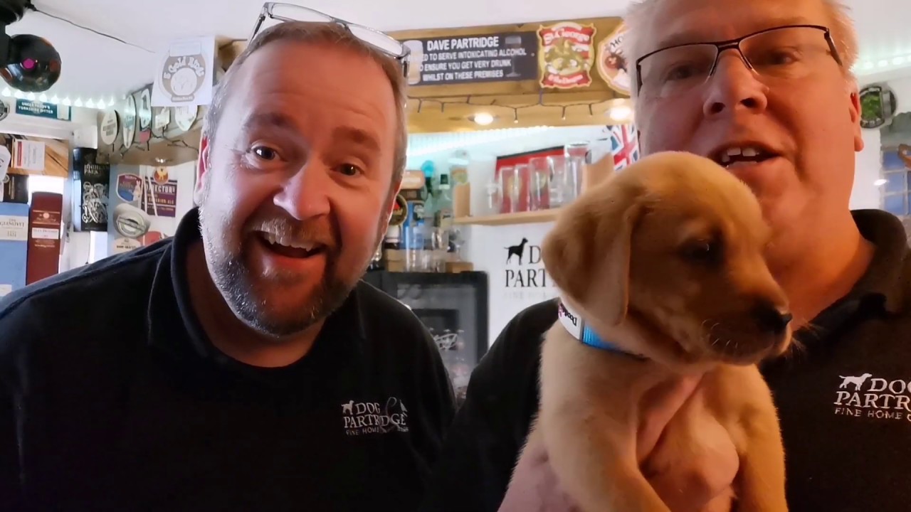 Beer kit reviews ,footage from the cellar and a new dog - Brew Insight