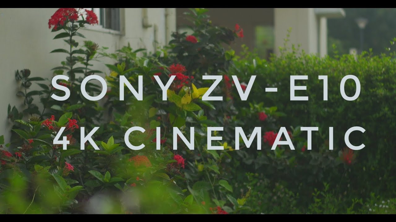 Sony ZV E10 | 4K cinematic HLG3 - YouTube