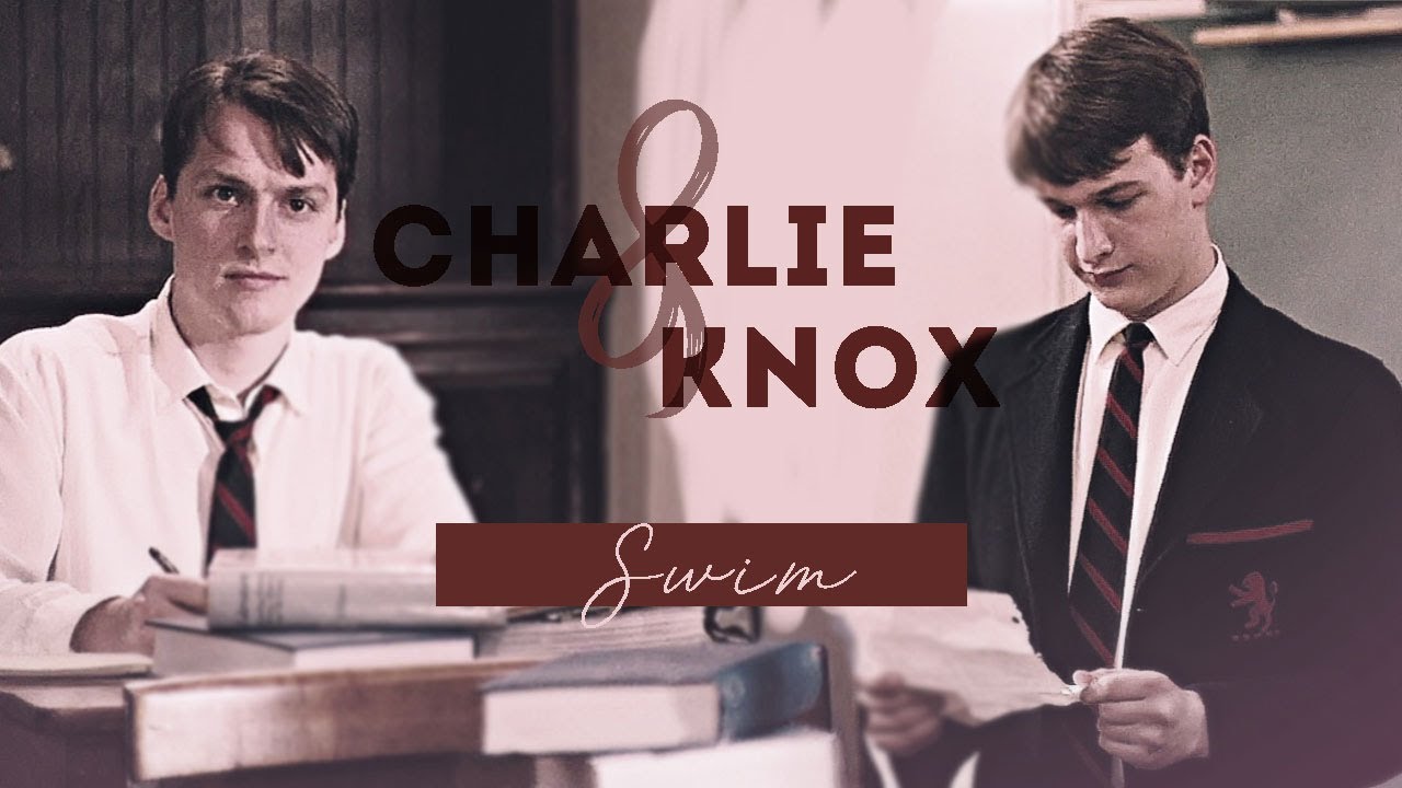 Charlie & Knox | Swim - YouTube