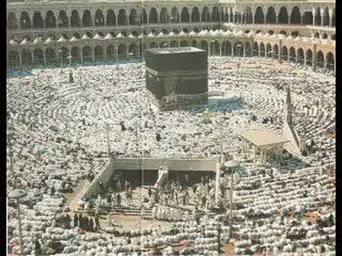 güller bahçesi (ibrahim gülser)   