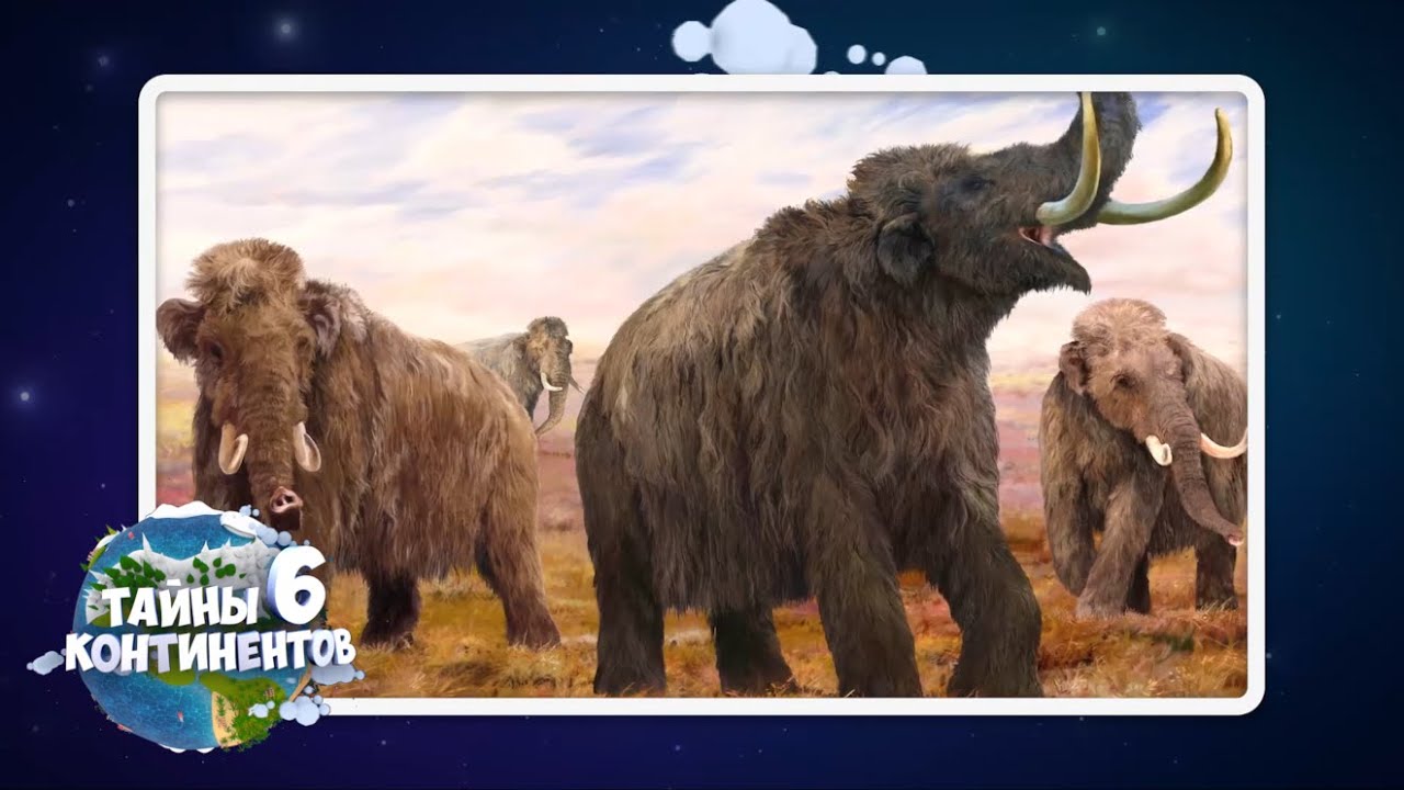 ☀️С добрым утром, малыши! Мамонты - Тайны шести континентов - YouTube