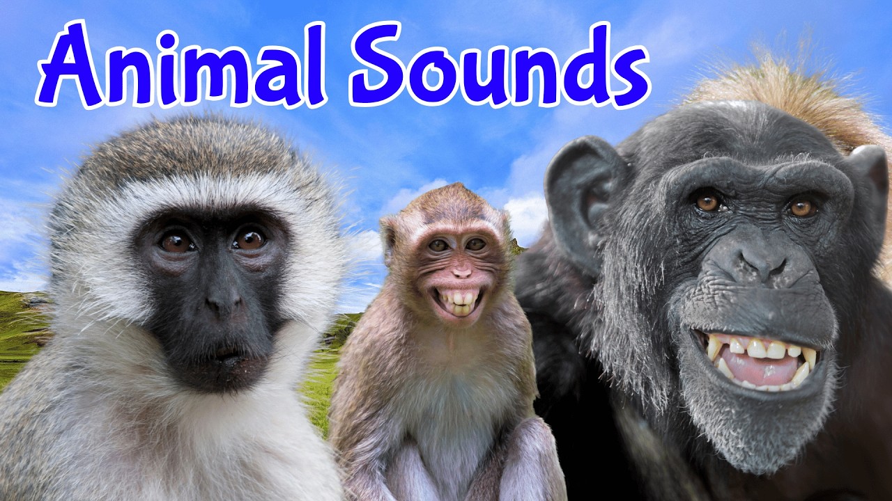 80+ Animal Sounds for Kids | Learn Animal Names & Sounds - YouTube