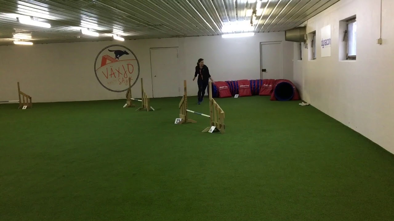 Agility foundations Guy 12 months - YouTube