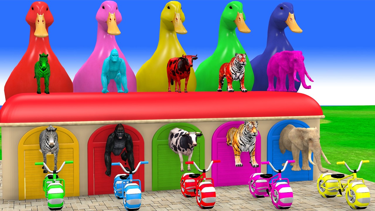 Long Slide Game with Cow Elephant Gorilla Hippopotamus Tiger 3d Animal ...
