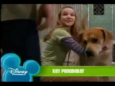 The Disney channel Commercial breaks 2005 - YouTube
