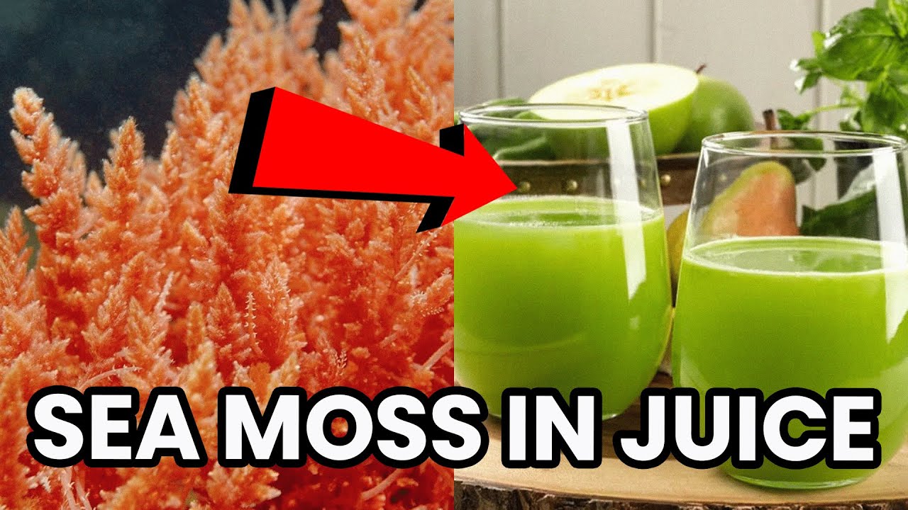 The Benefits of Sea Moss in Juice | Goodnature Radio 22 - YouTube