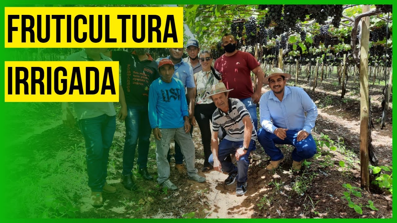 Fruticultura irrigada no Vale do Paranã - GO - YouTube