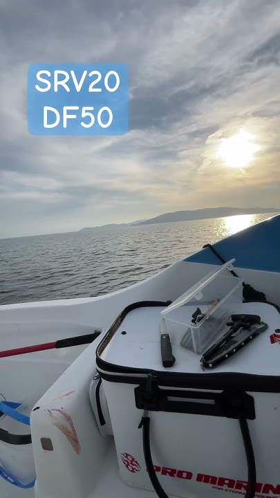 初釣り走行SRV20#プレジャーボート#SRV20#スズキDF50#ボート釣り #志布志湾釣り - YouTube