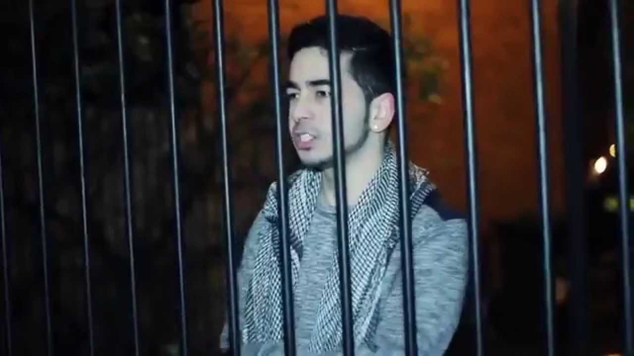 Ambassador free palestine - YouTube