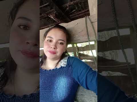 Mami stw gituan di kandang sapi