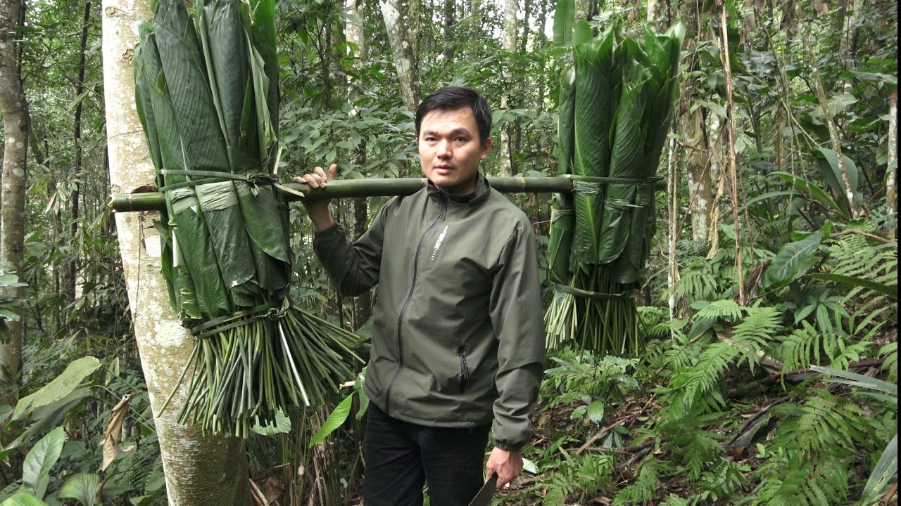 From the leaves. I earn lot of money and made delicious cakes. Green ...