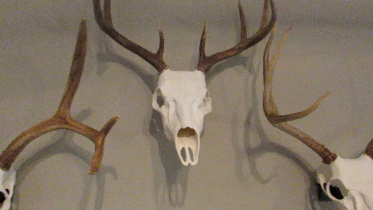 Mountain Mike's Reproductions Skull Master Kit, Pros and Cons Review ...