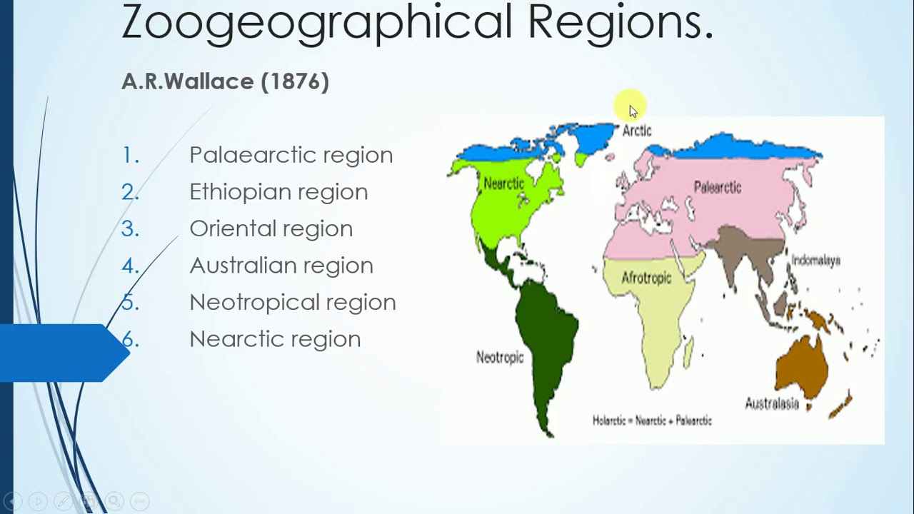 zoogeographical regions - YouTube