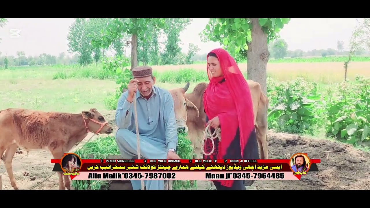 KHAB SONIA DA NEW STORY ALIYA MALIK AND MAAN JEE TEAM 2025 - YouTube
