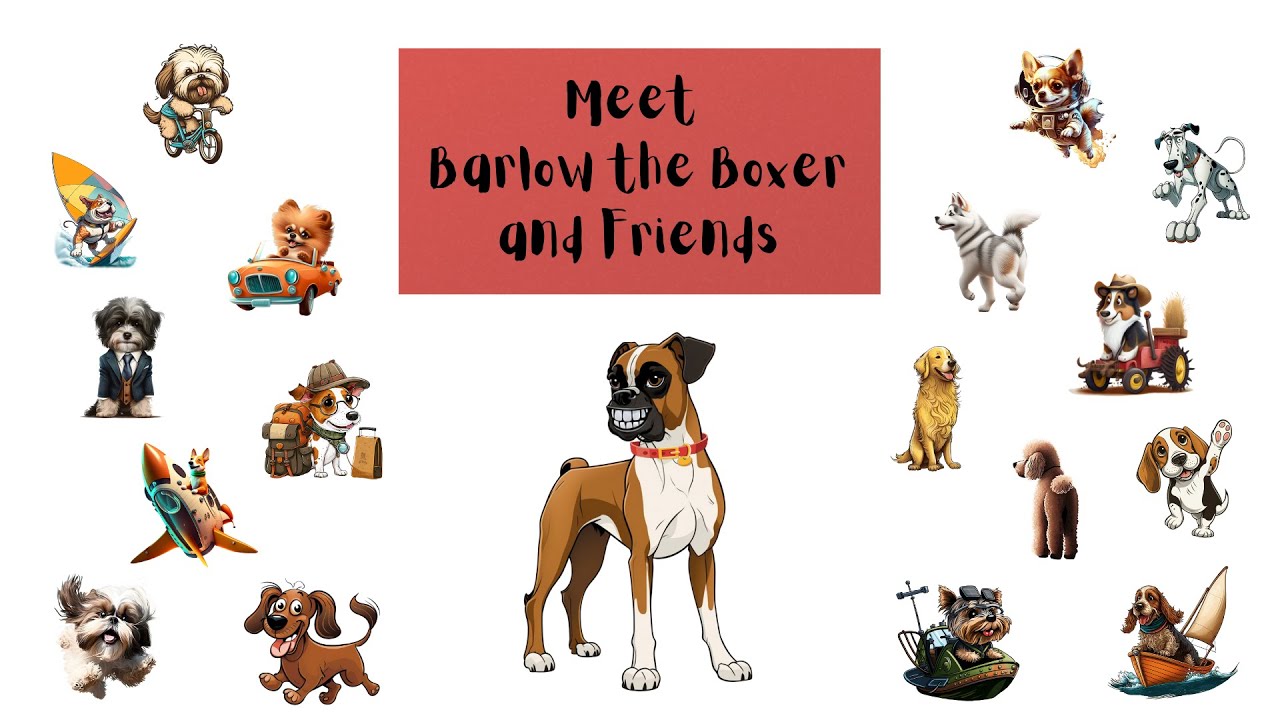 Meet the Barlow the Boxer and Friends Adventure Crew - YouTube