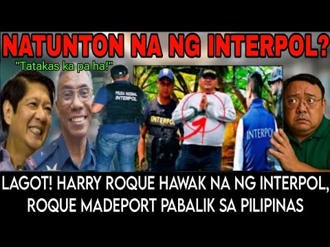 BREAKING NEWS! ATTY. HARRY ROQUE NATUNTON NA NG INTERPOL? HARRY ROQUE ...