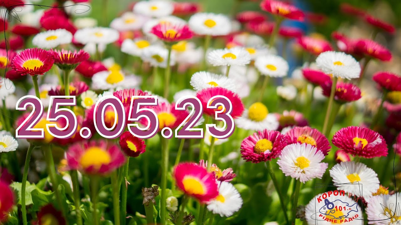 Короп ФМ 25.05. 23 - YouTube