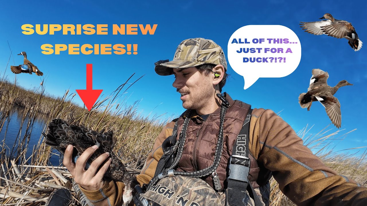 JUST FOR A DUCK?!? North Dakota Duck Hunting...WATCH ME FAIL - YouTube