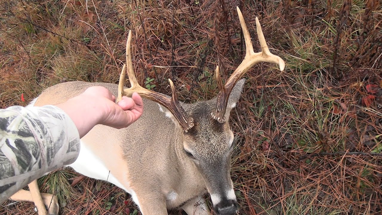 The Hunt For a GEORGIA MOUNTAIN BUCK - YouTube