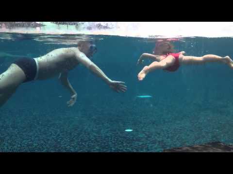Papa & Stesha. Diving in the pool