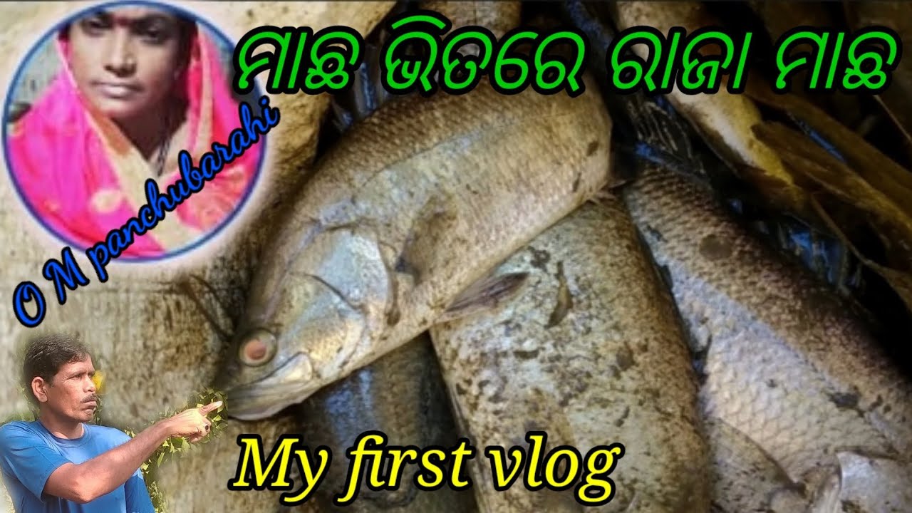 Machha ta machha Raja machha - YouTube