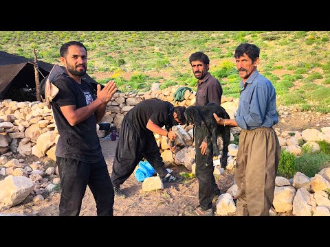 A young man's amazing and strange help to the monks😱