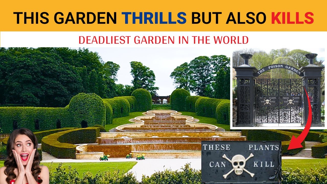 The Alnwick Garden | This Visit can Kill you | Poison Garden ...