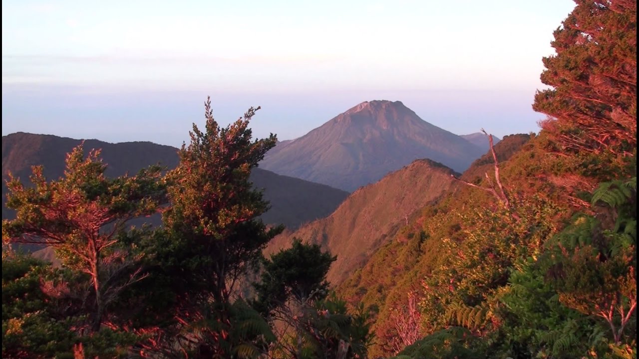 Philippines Part1 Mt Talomo Mountain Trekking Expedition - YouTube