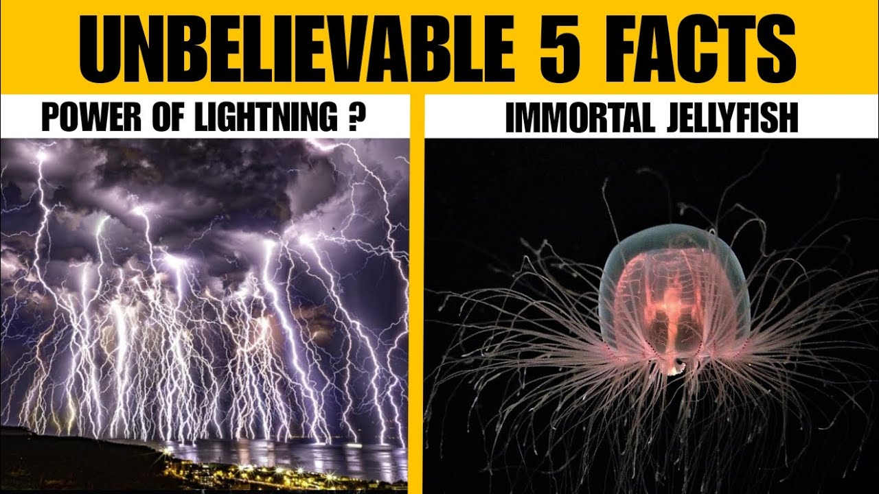 5 Unbelievable Facts that you didn't Know - YouTube