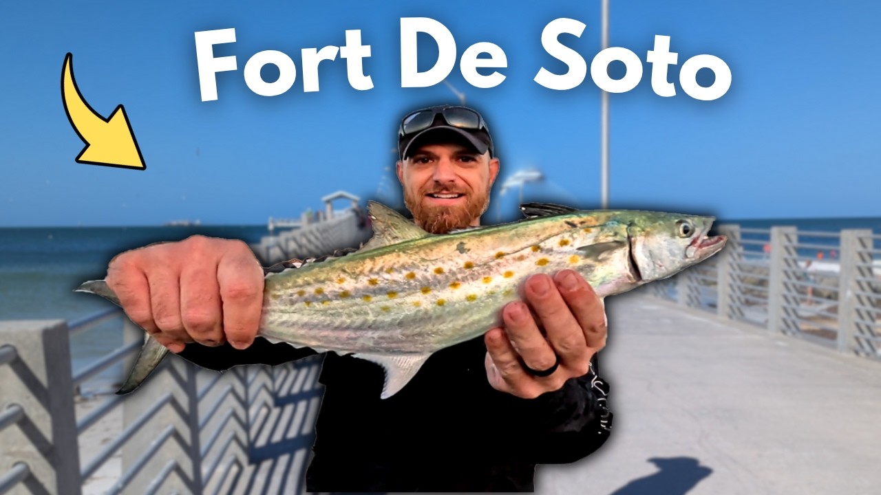 Spanish Mackerel Fishing Off The Fort De Soto Pier! - YouTube