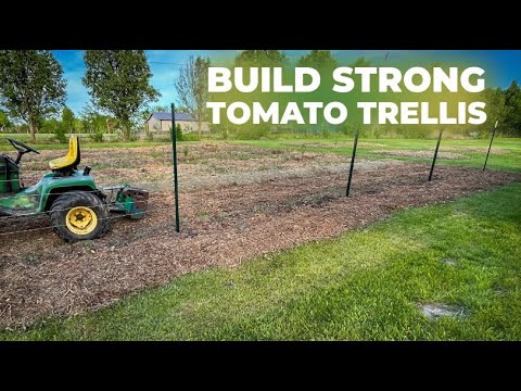DIY Tomato Trellis Using T Posts and Wire (Cheap & Strong!) - YouTube