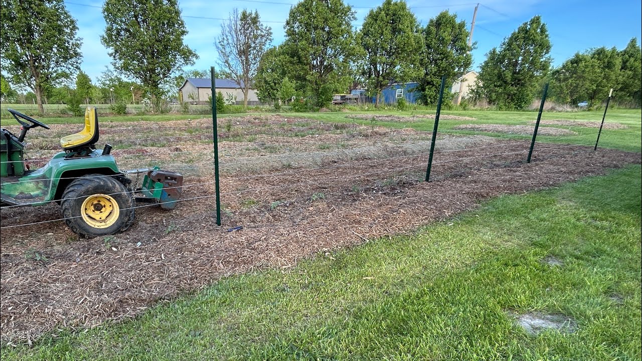 DIY Tomato Trellis Using T Posts and Wire (Cheap & Strong!) - YouTube