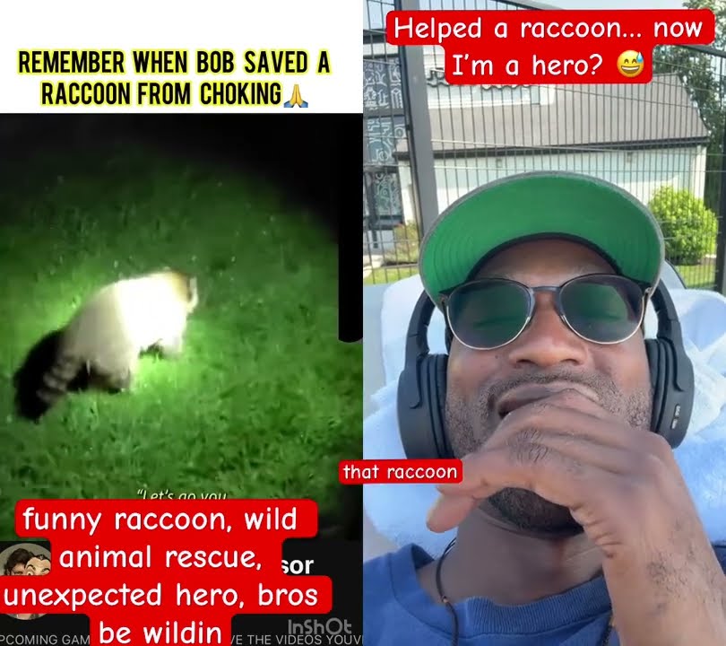They dared me to save the raccoon… now they won’t stop talking 😭 # ...