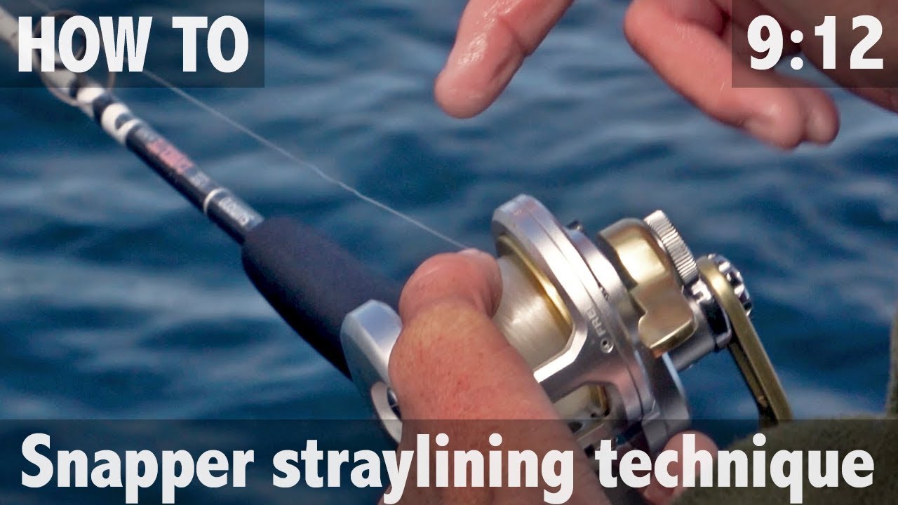 Snapper Basics: Straylining for Snapper - YouTube