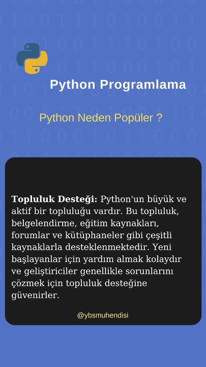 Python nedir? Temel bilgiler ve neden popülerdir? - YouTube