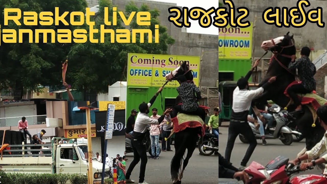 Raskot live janmasthami atham mela live raskot pedak ghoda ni resh 😍 ...
