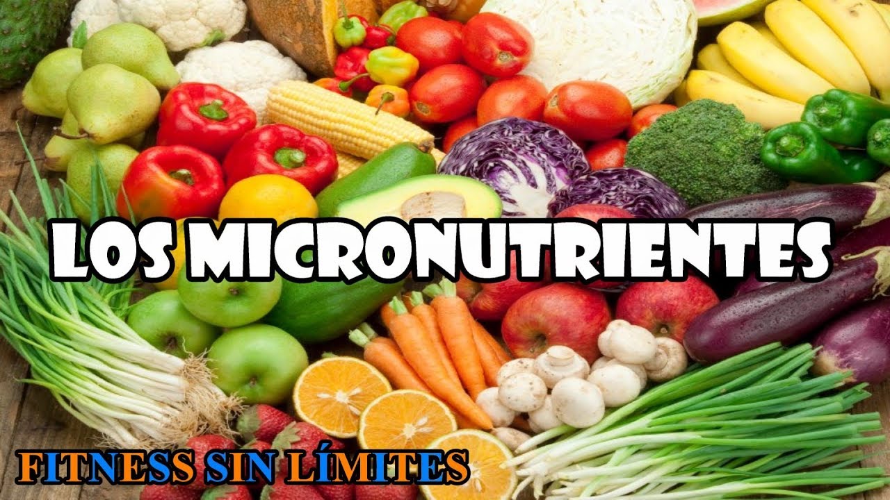Los Micronutrientes 🍎🍅🍌 - YouTube