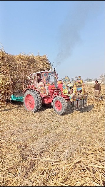 Belarus tractor trali gana loaded dehati mahaul #belarustractor # ...