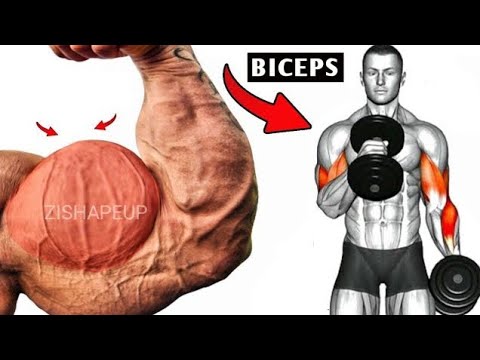 Biceps Workout | 6 Best Exercises to build Strong Arms at Gym - YouTube