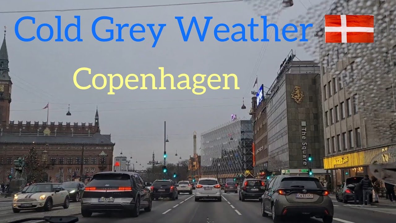 Cold Grey weather Drive🇩🇰 Copenhagen|December 2024|#denmark#copenhagen# ...