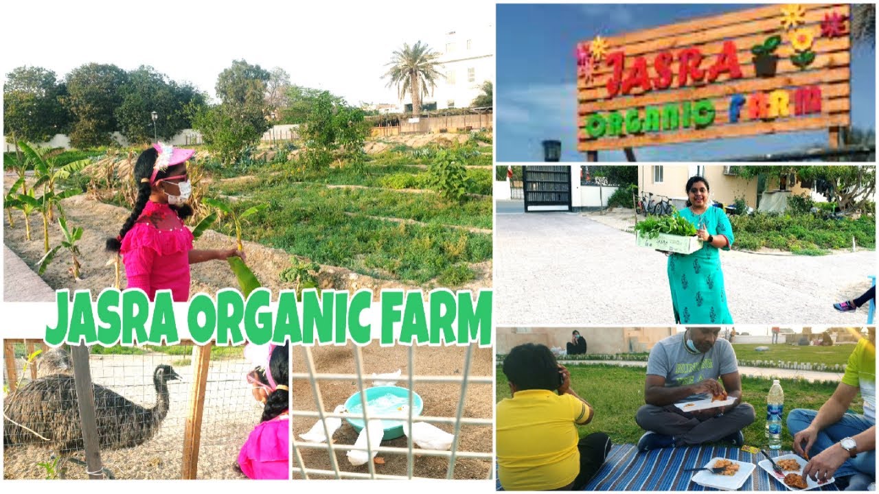 Visit To A Beautiful Farm In Bahrain | JASRA ORGANIC FARM & PARK VLOG ...