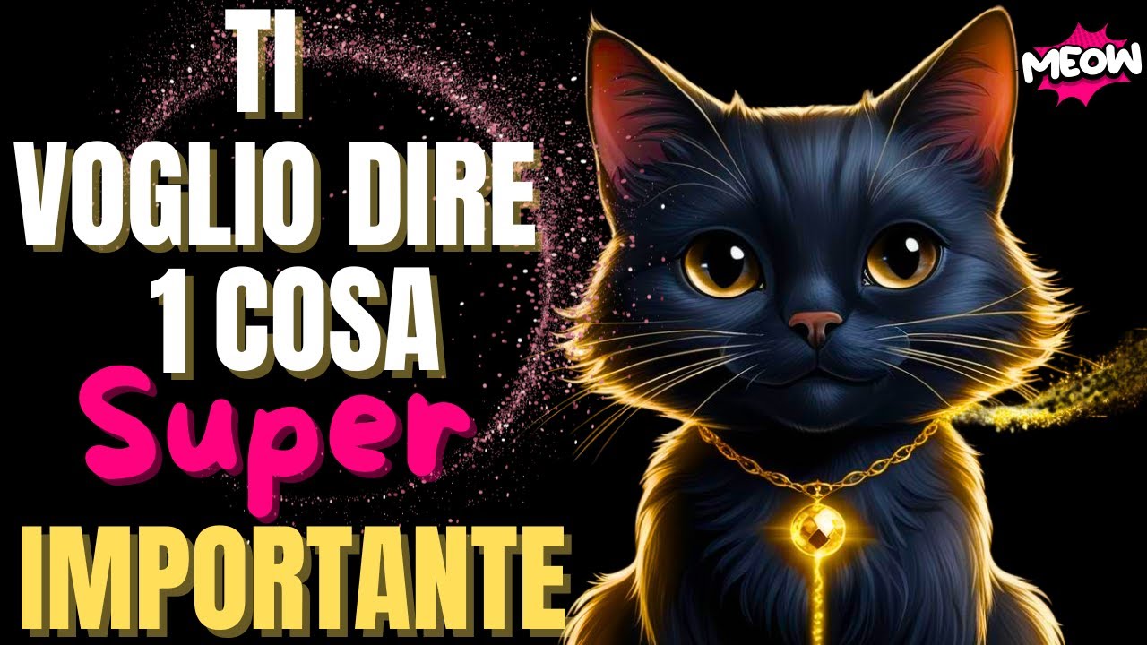 IL SEGRETO DELLA FELICITA' CHE IL MIO GATTO MI HA INSEGNATO! - YouTube