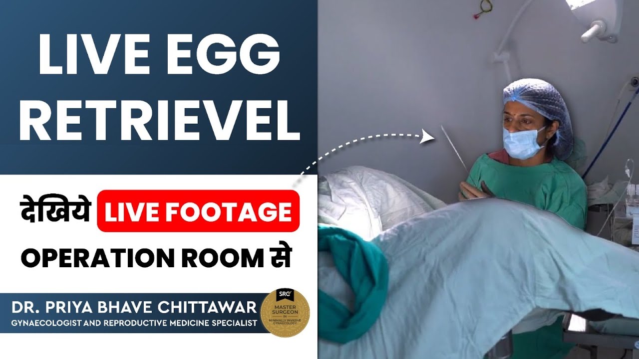 Live egg retrieval by Dr Priya Bhave Chittawar - YouTube