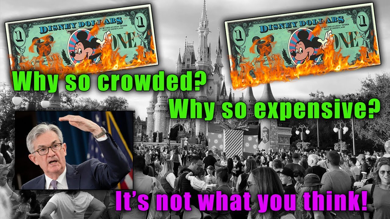 Why is Disney World So Busy Right Now and Why Is It So Expensive Right ...