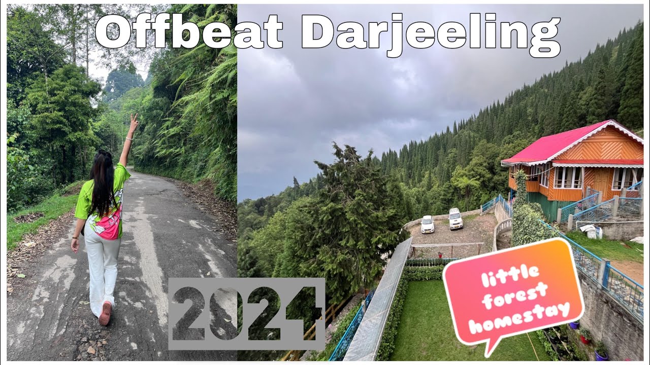 Offbeat Darjeeling | Sightseeing | Mim Basti | Little Forest Homestay ...