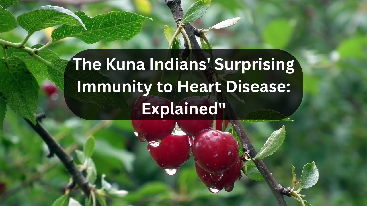 The Kuna Indians' Surprising Immunity to Heart Disease: Explained ...