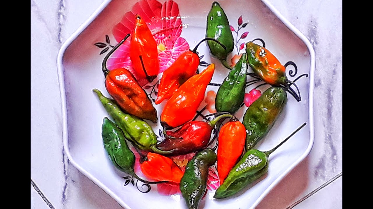 Instant Green Chilli Pickle Recipe || Bombay Morich Achar Recipe | Easy ...