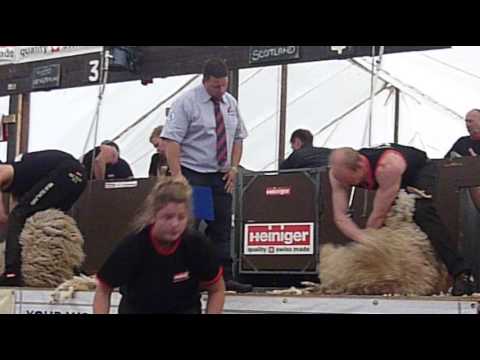 Lochearnhead Shears, Scotland/New Zealand Test match 2017 - YouTube